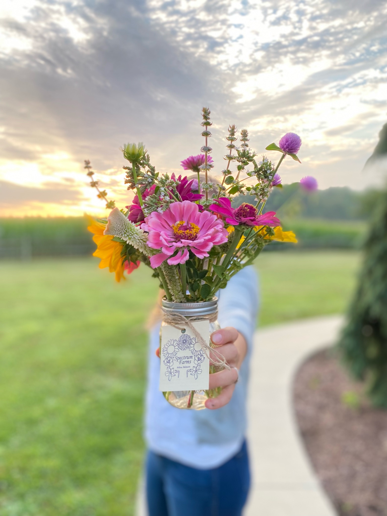 Flowers at Spectrum Farms – Spectrum Farms