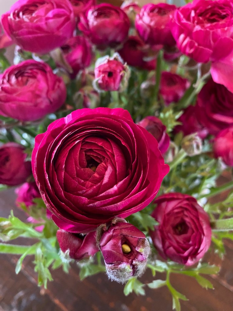 Spectrum Farms – Going back to our roots!